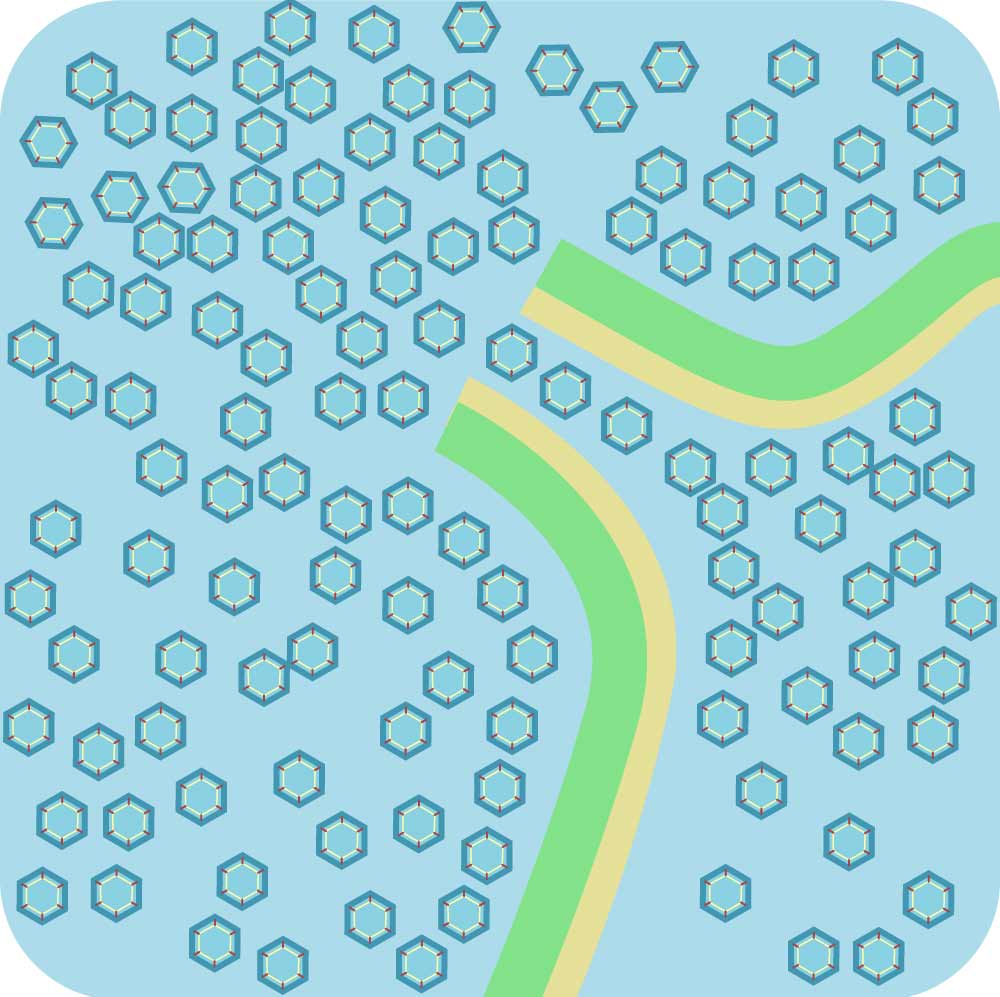 ¿Qué es el agua estructurada? - TueresloMaS